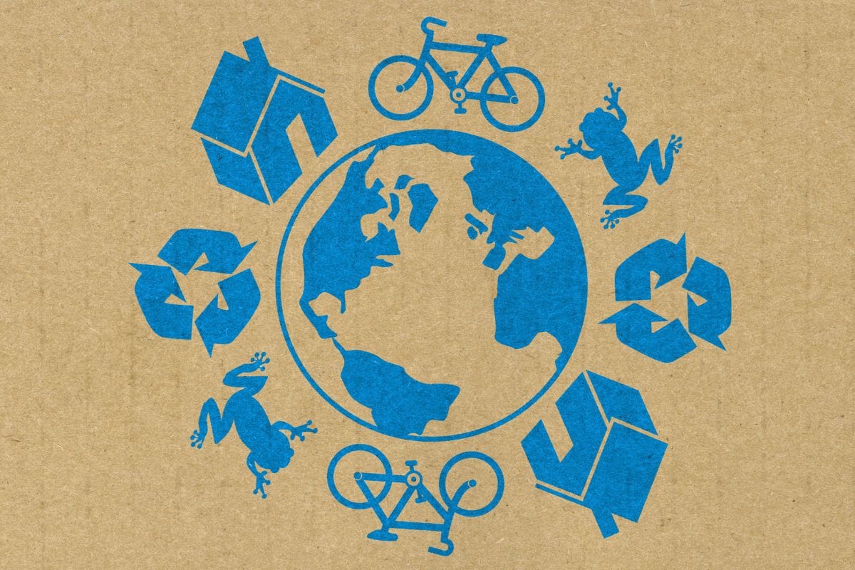 Eco-Friendly Cleaning: Preserve Quality & Safety